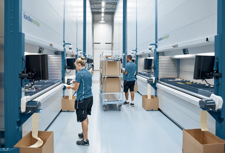 Revolutionizing Efficiency: Innovative Color-to-Pick Technology